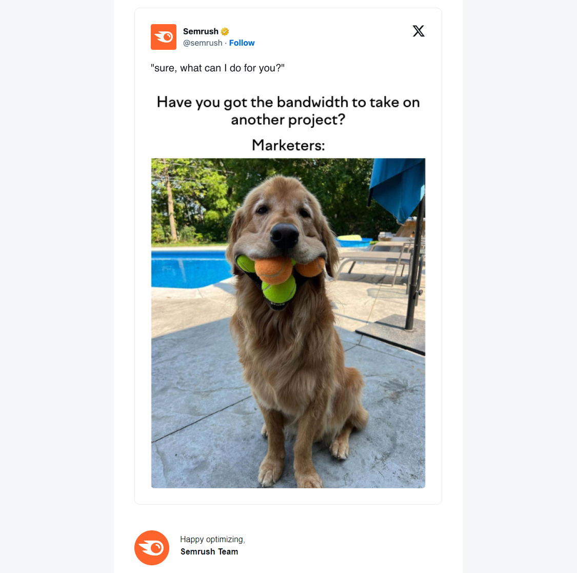 Funny Emails Unboxed: Mastering Humor in Email Marketing Design